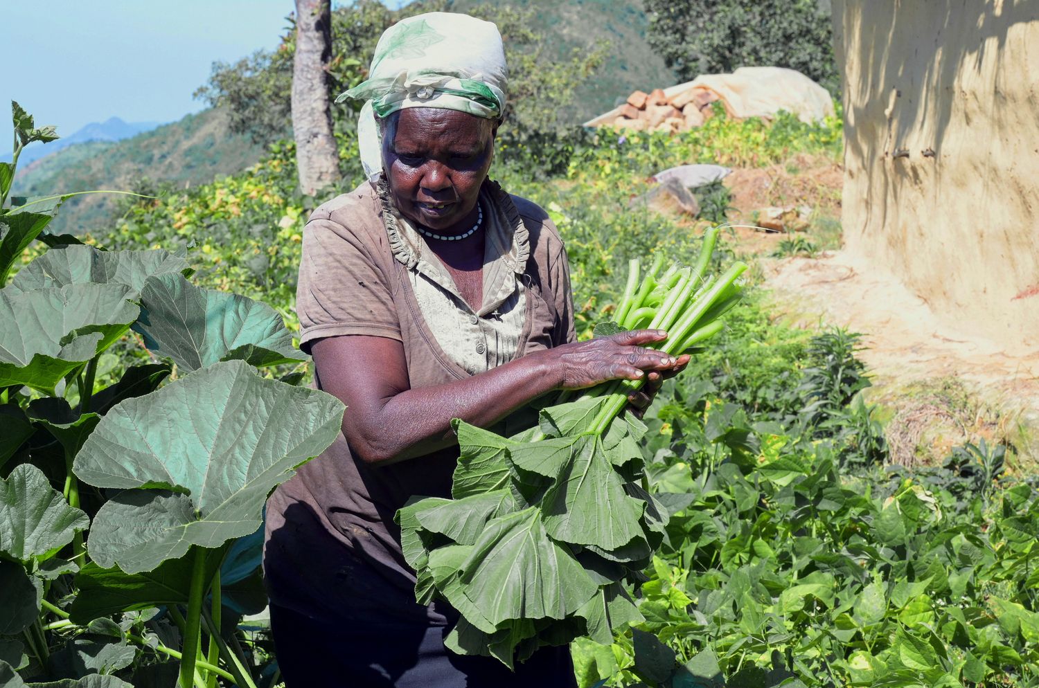 Ungerechtigkeit | Brot für die Welt