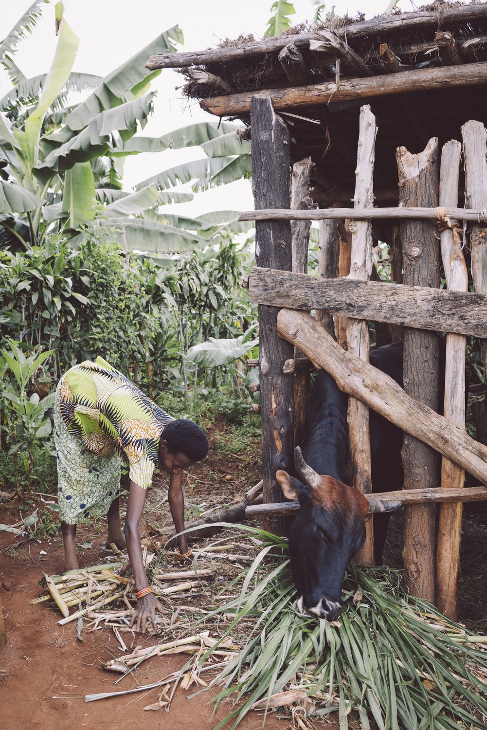 Gleichstellung | Brot für die Welt