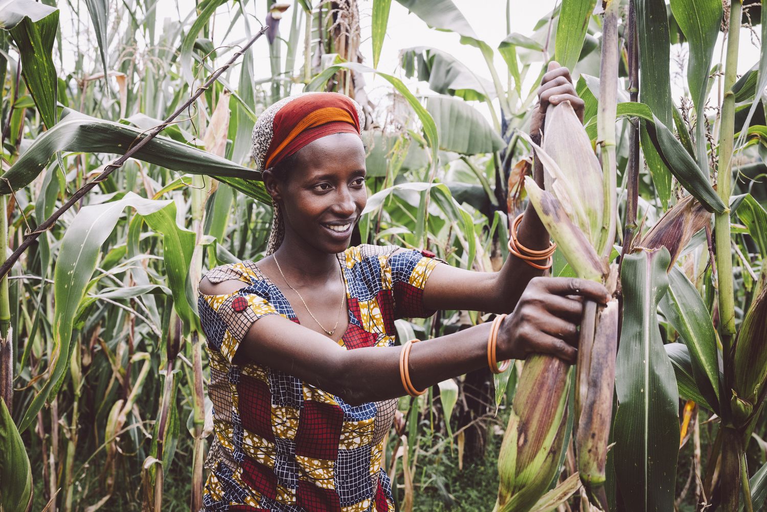 Hilfsorganisation | Brot für die Welt