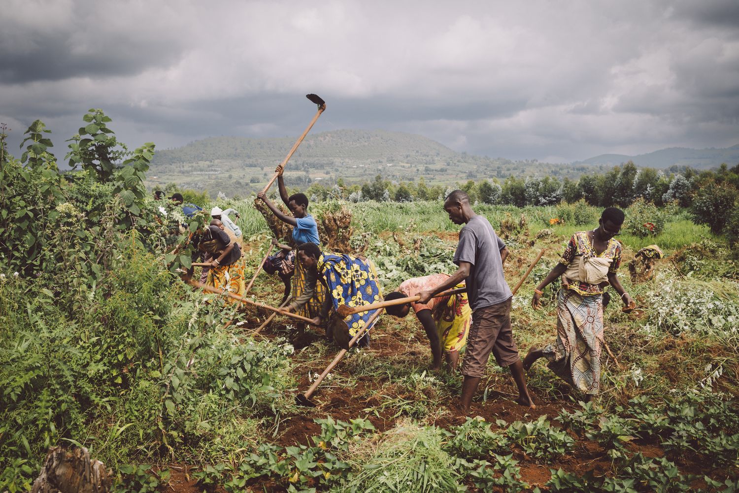 Hilfsorganisation | Brot für die Welt