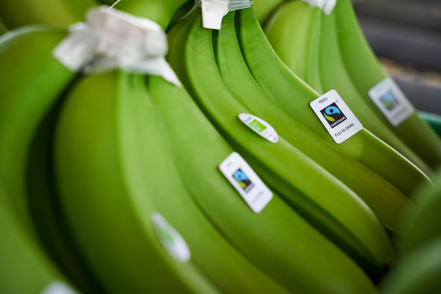 Peru: Bio-Bananen für den fairen Handel | Brot für die Welt