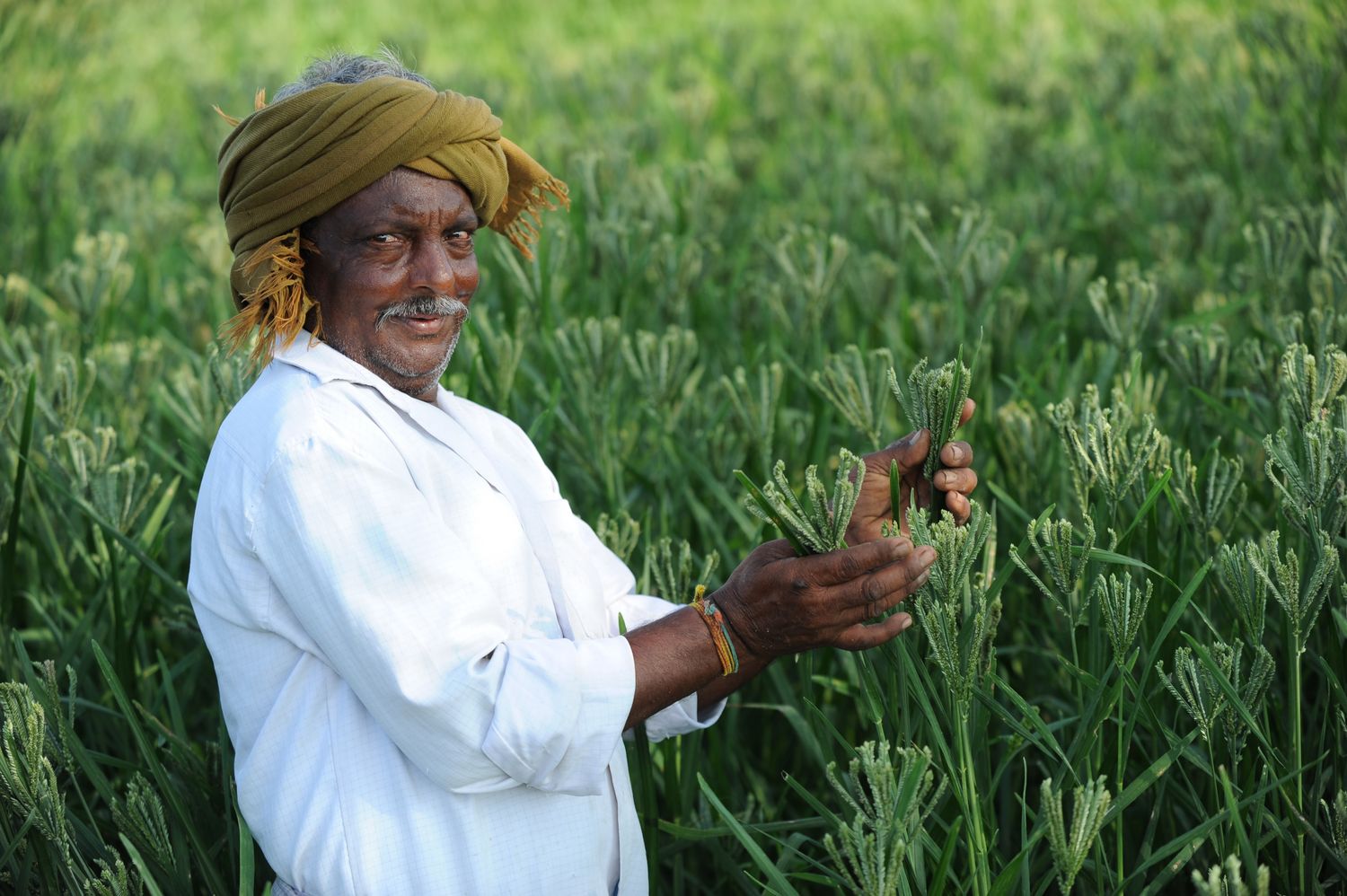 Bauernproteste in Indien | Brot für die Welt