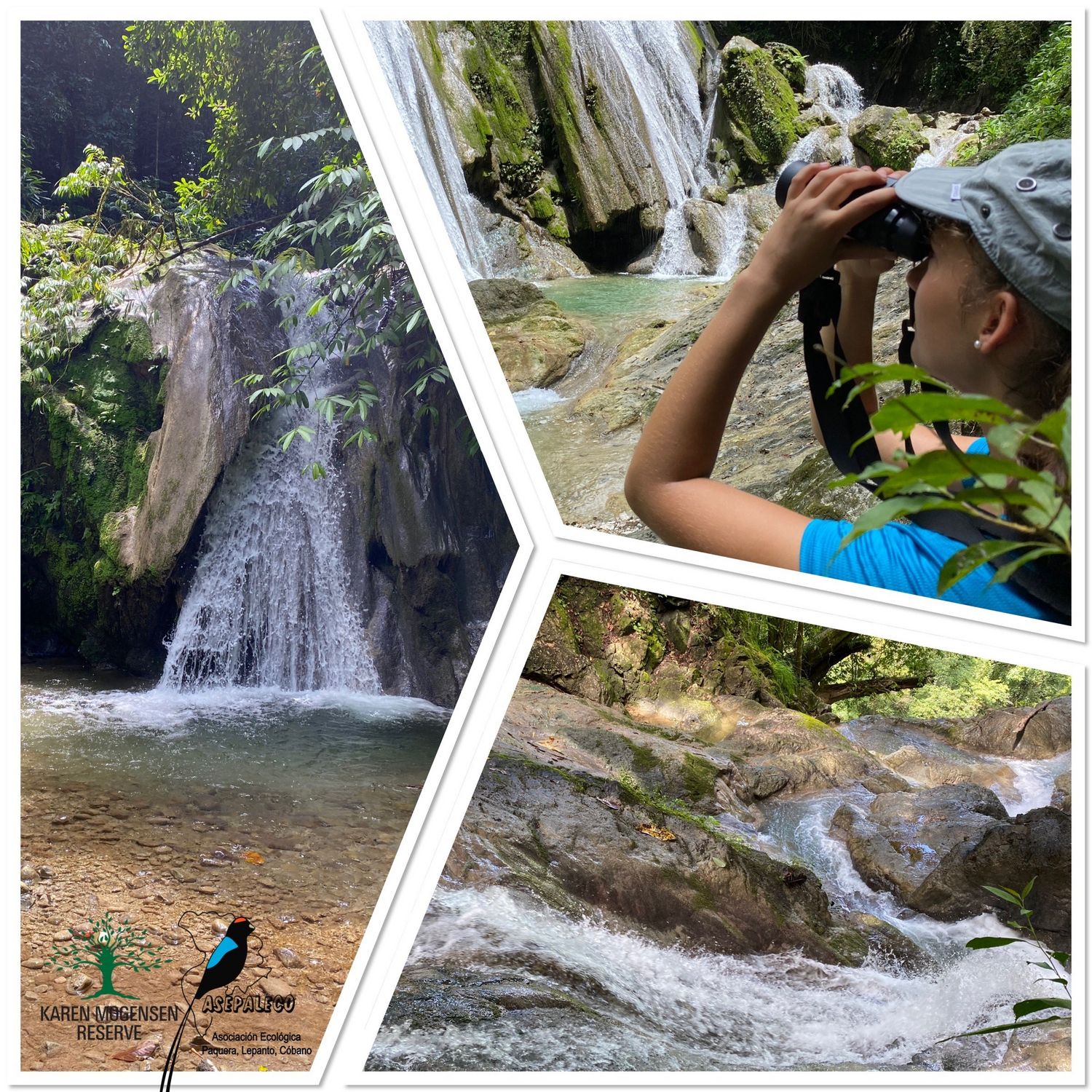 Hannah bei der Umweltorganisation Asepaleco | Brot für die Welt
