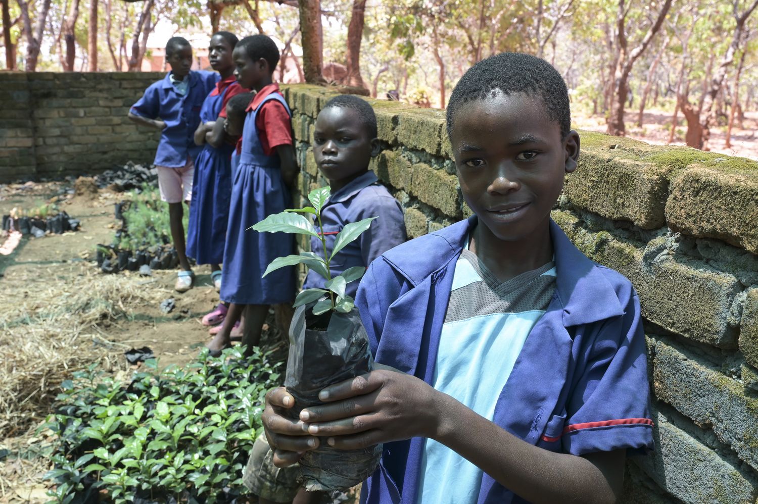 Malawi: Obst und Gemüse durch Permakultur | Brot für die Welt