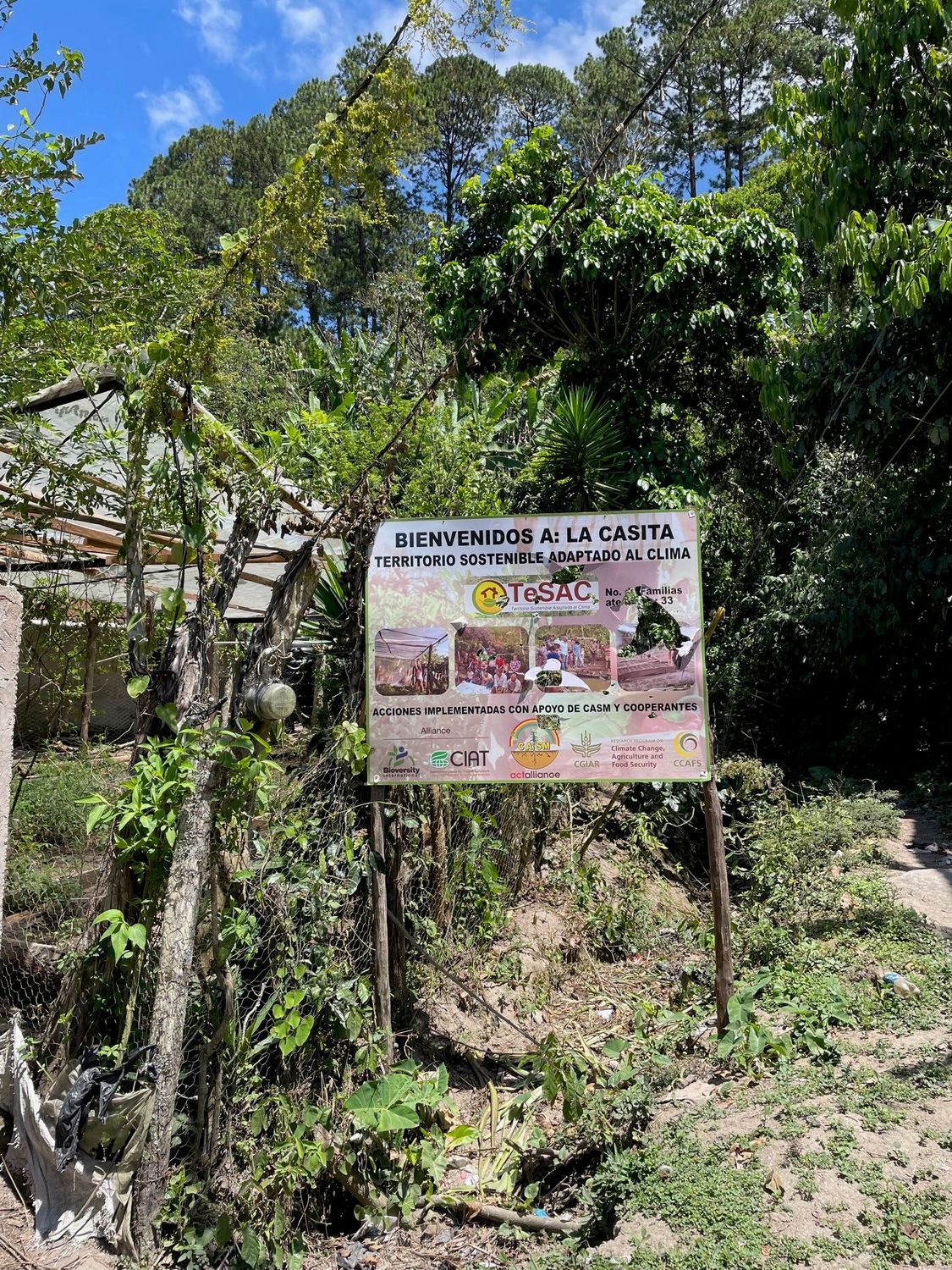 Klimaversprechen müssen umgesetzt werden | Brot für die Welt